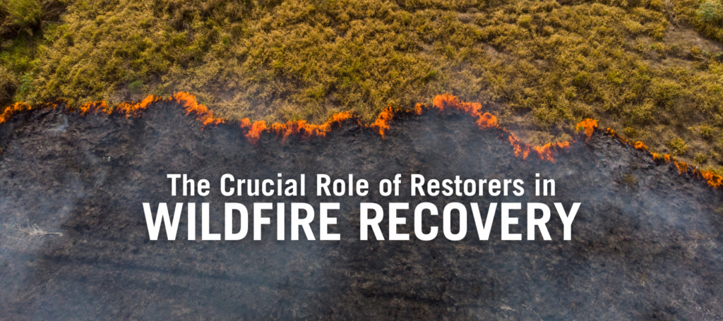 [Article From C&R:] The Crucial Role of Restorers in Wildfire Recovery ...